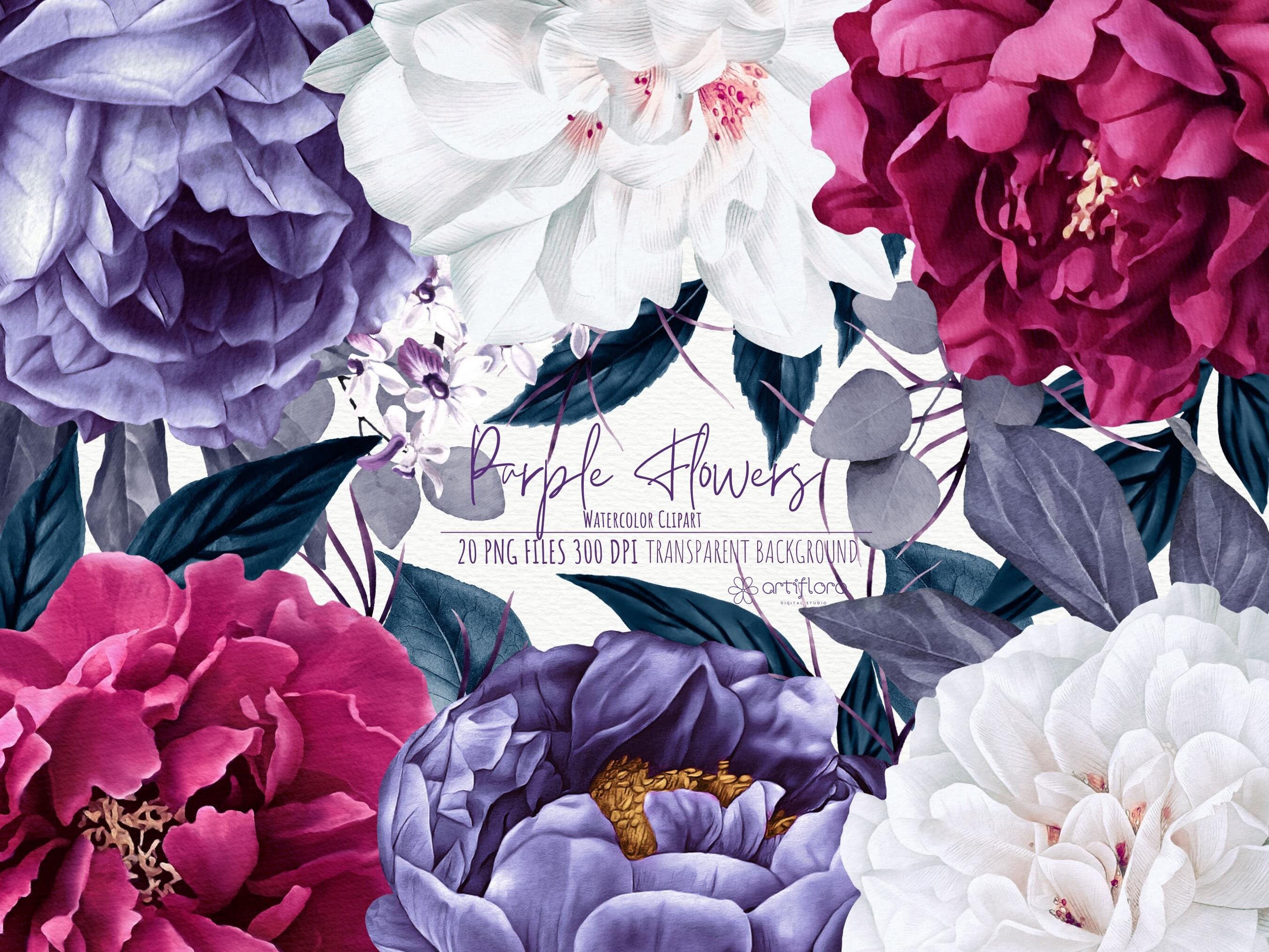 Watercolor Floral Clipart, Peony Rose Clipart, Pink Purple White ...