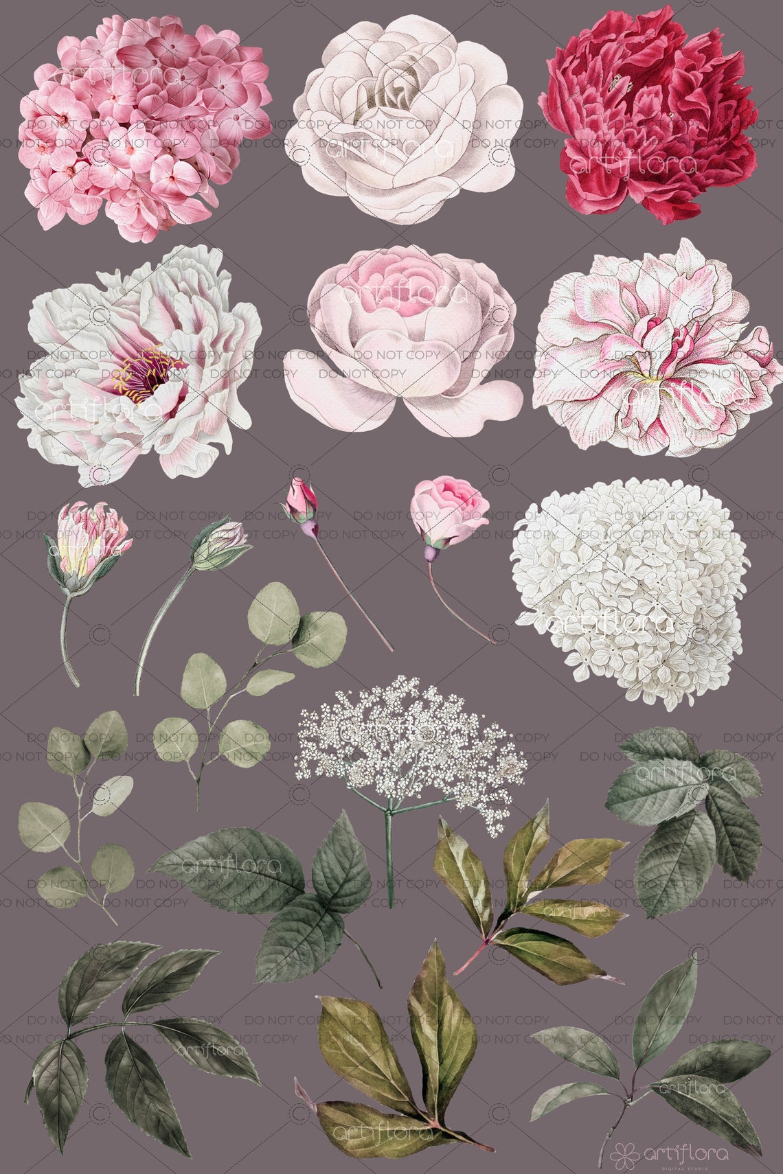 Watercolor Floral Clipart Peonies Roses Hydrangea Clipart - Etsy