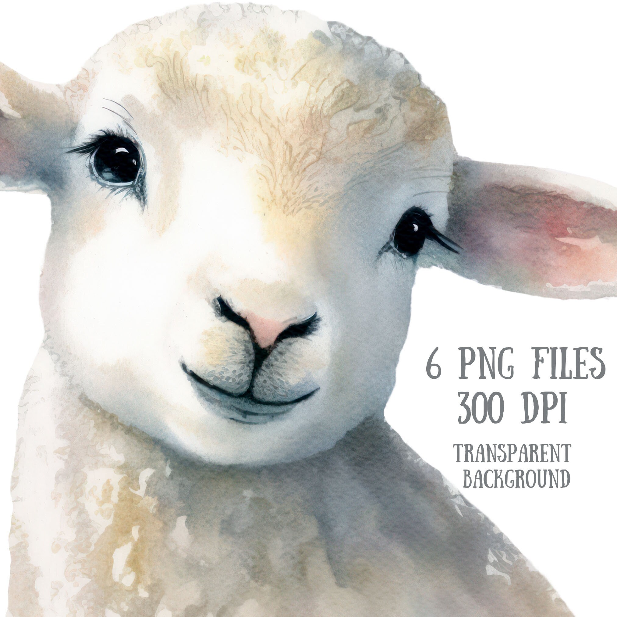 Watercolor Spring Easter Cute Lamb Sheep Clipart, Spring Easter ...