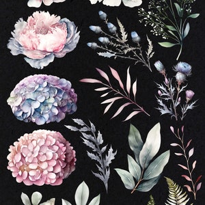 Watercolor Floral Clipart, Peonies Roses Hydrangea Clipart, Pink White ...
