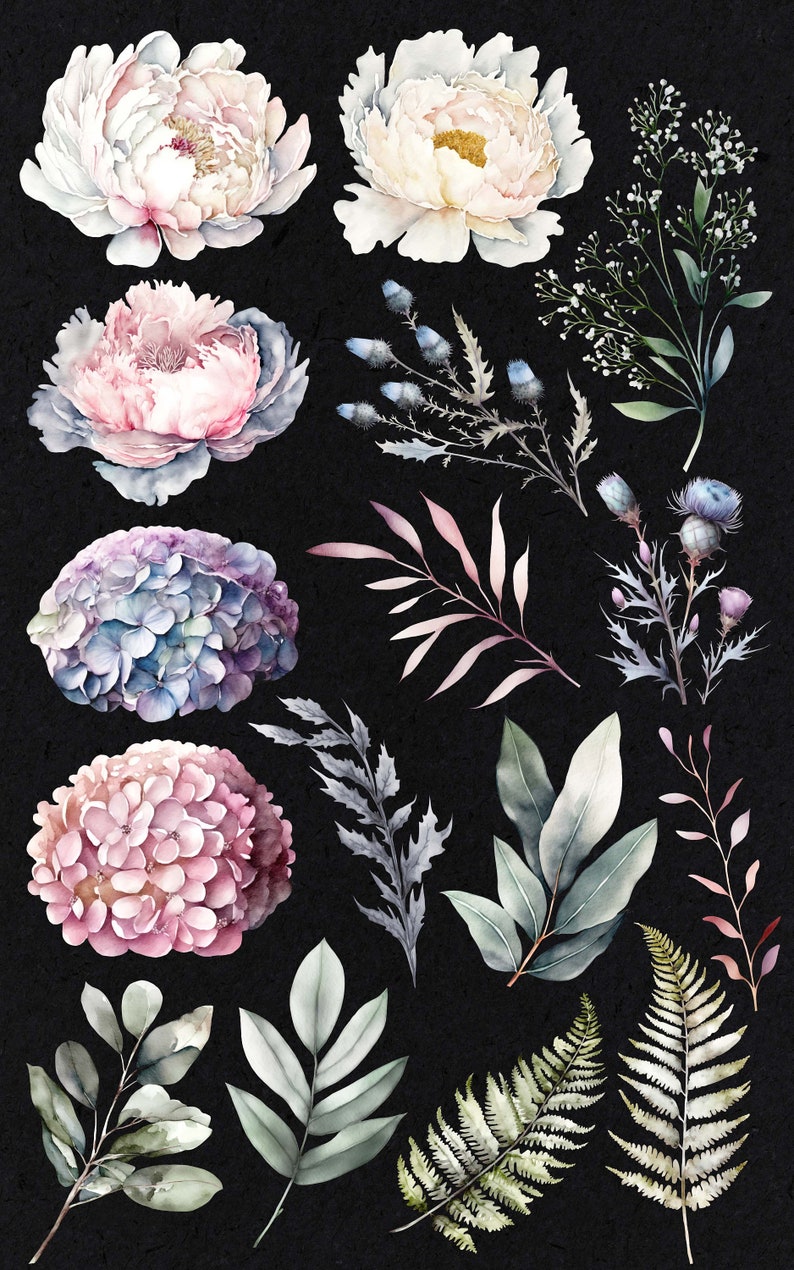 Watercolor Floral Clipart, Peonies Roses Hydrangea Clipart, Pink White ...