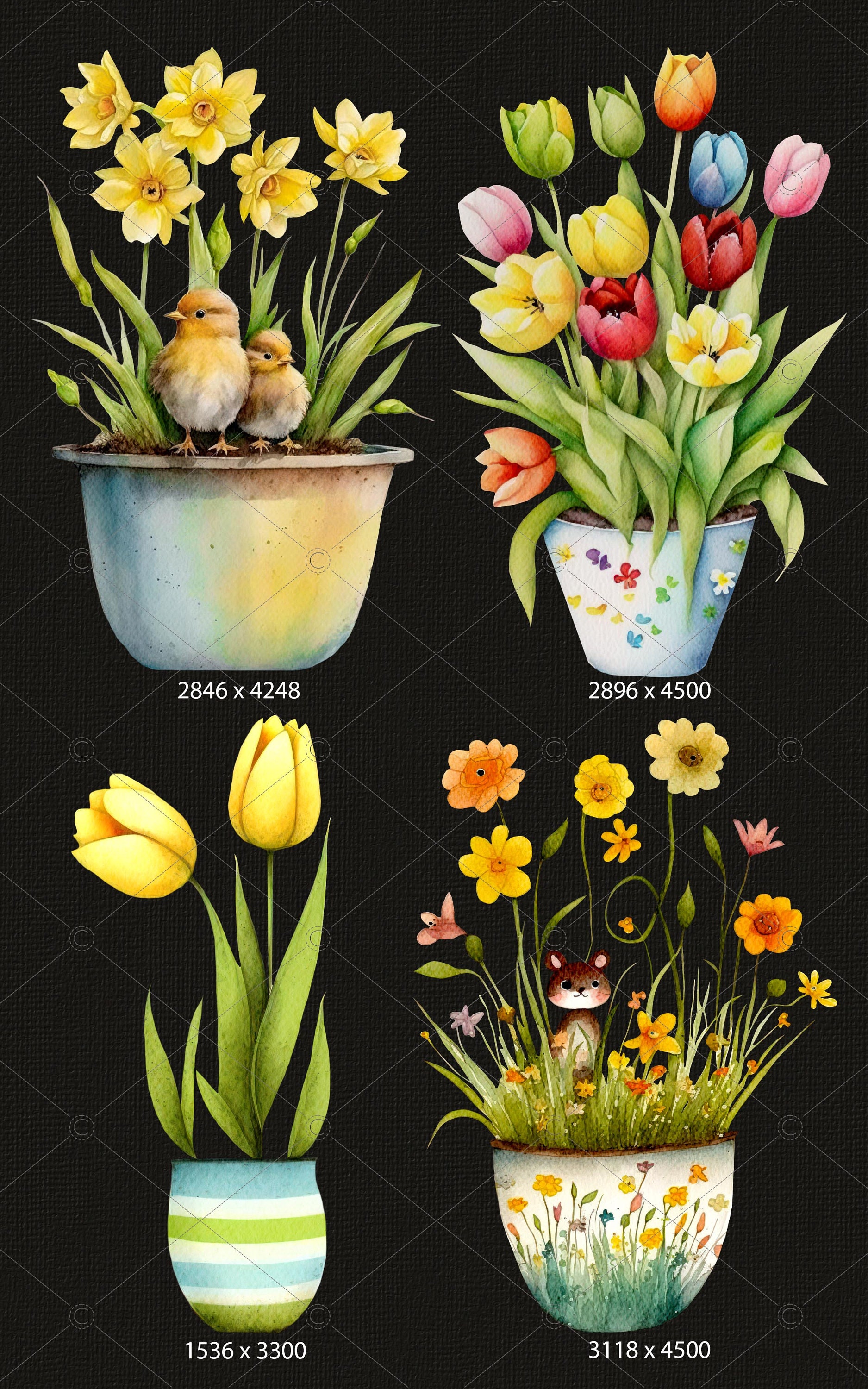 Watercolor Spring Easter Cute Flowers Clipart Tulips - Etsy