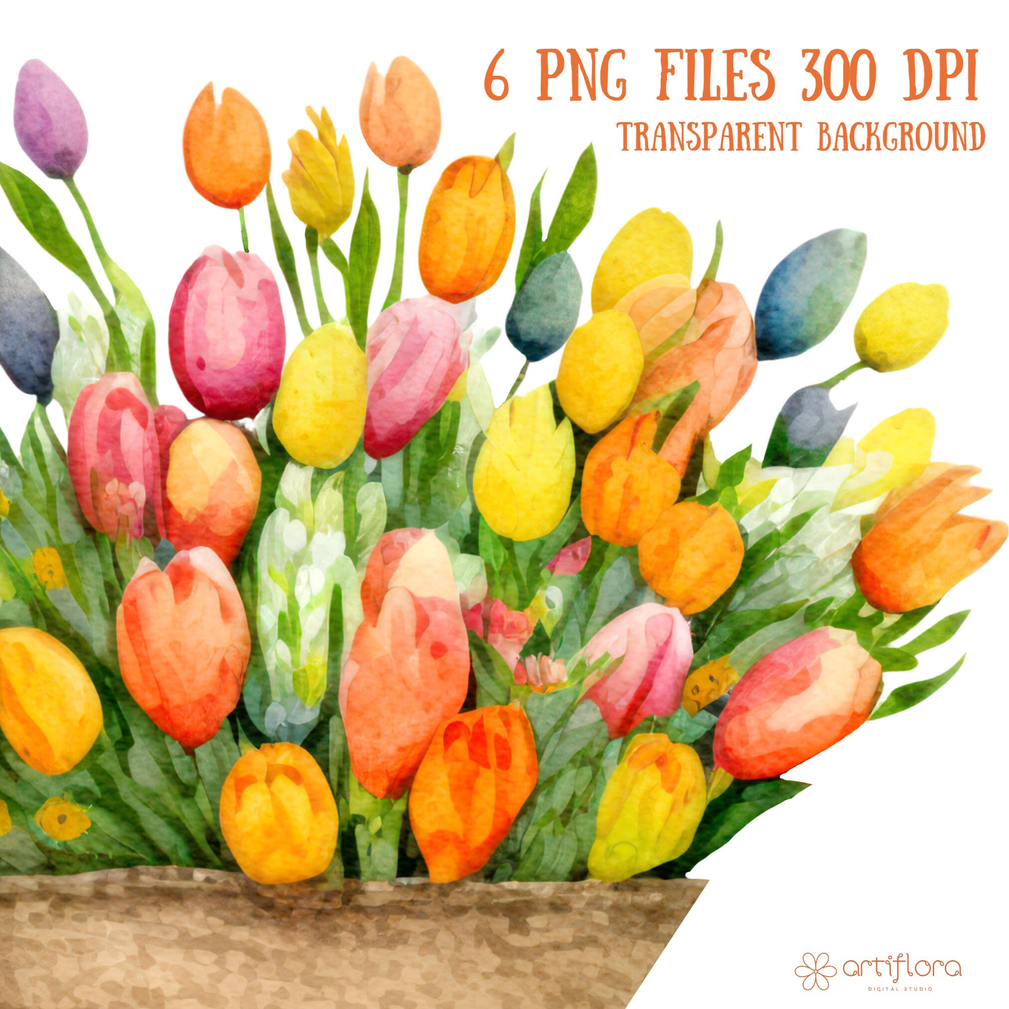 Watercolor Spring Easter Cute Flowers Clipart Tulips - Etsy