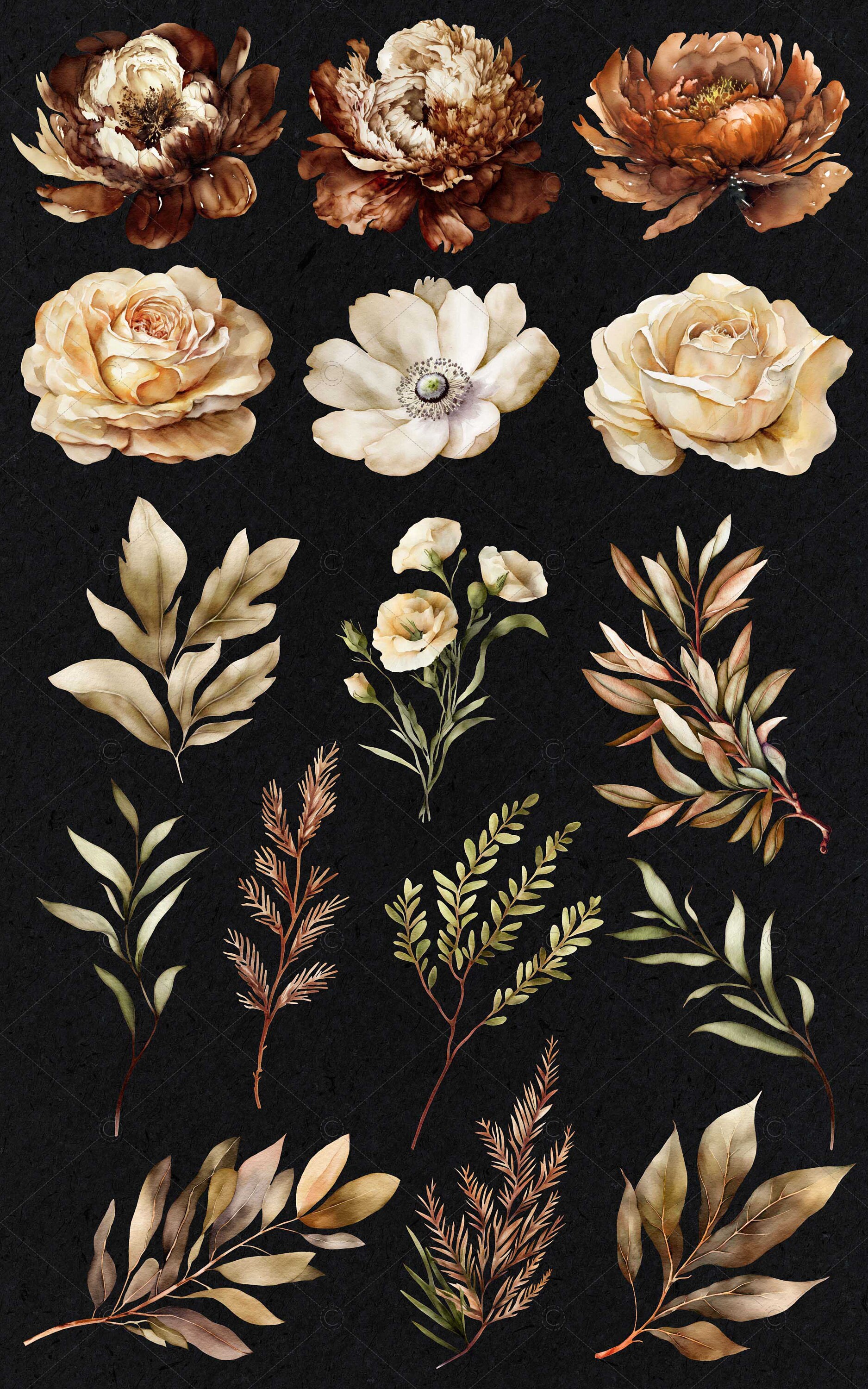 Watercolor Floral Clipart, Roses Peonies Clipart, Brown Flowers, Fall ...