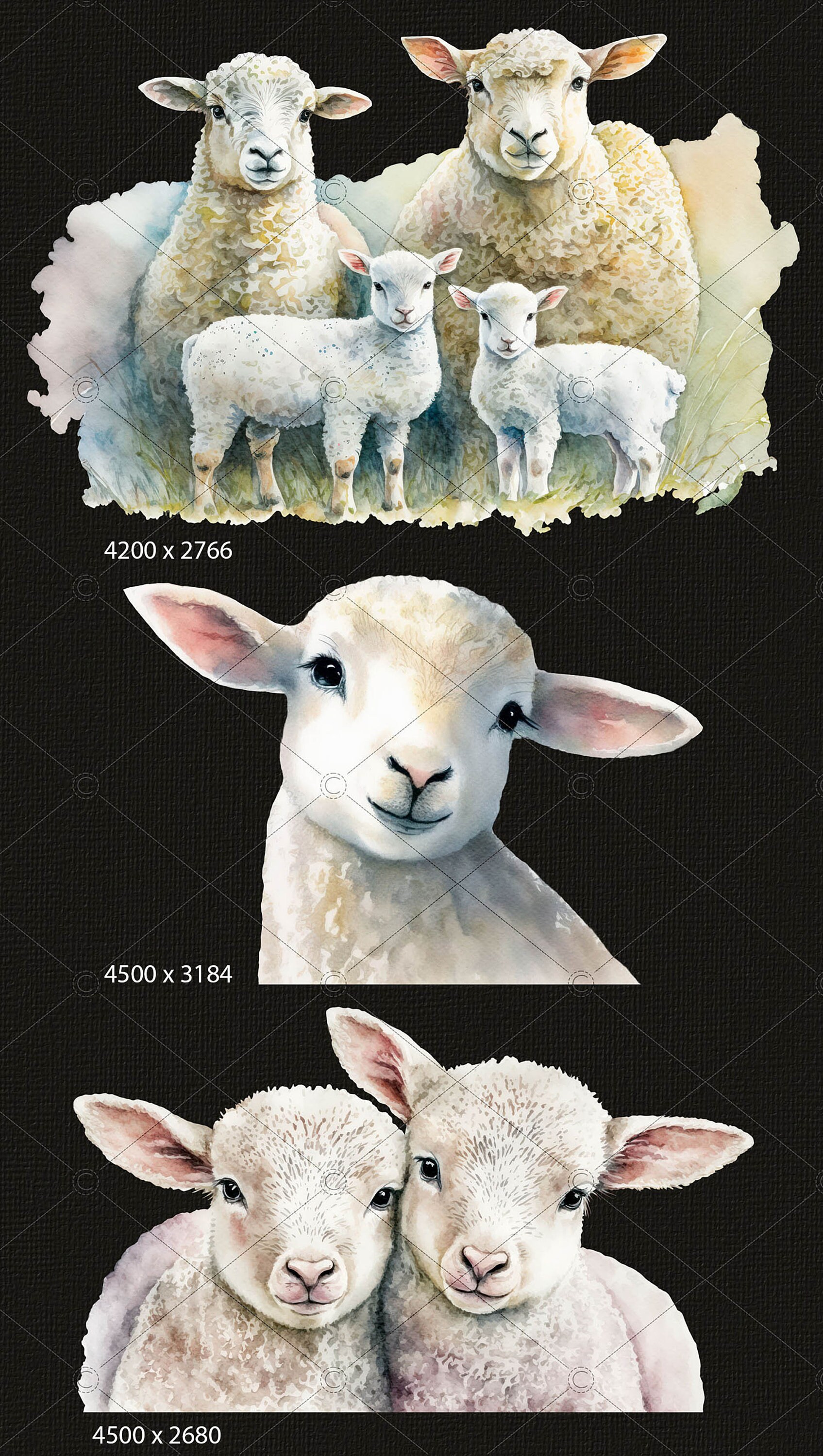 Watercolor Spring Easter Cute Lamb Sheep Clipart, Spring Easter ...