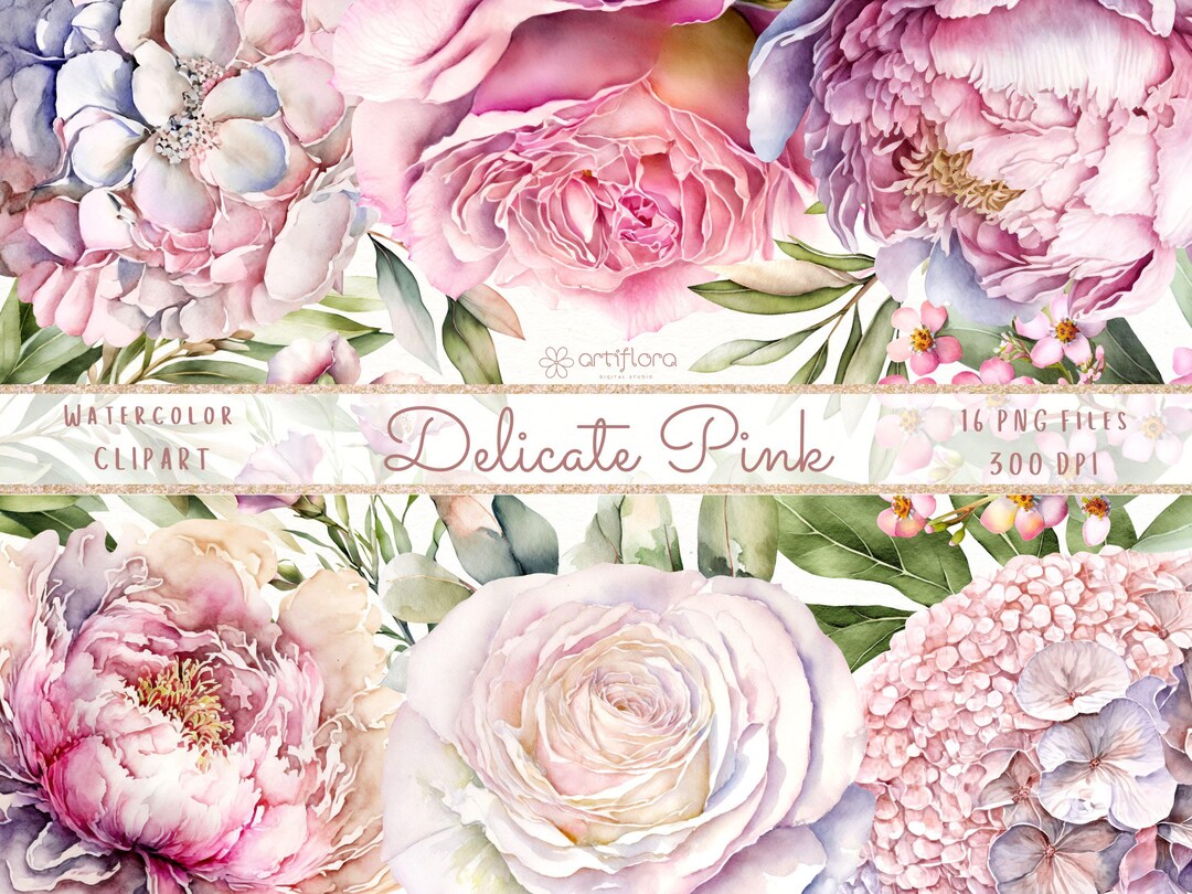 Watercolor Floral Clipart, Peonies Roses Hydrangea Clipart, Pink White ...