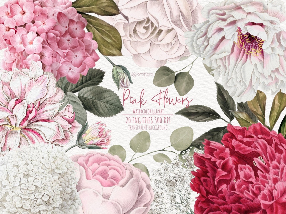 Watercolor Floral Clipart Peonies Roses Hydrangea Clipart - Etsy