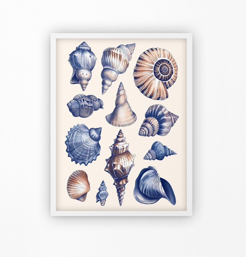 Printable Beach Home Decor, Shells Illustration, Marine Life, Coastal ...