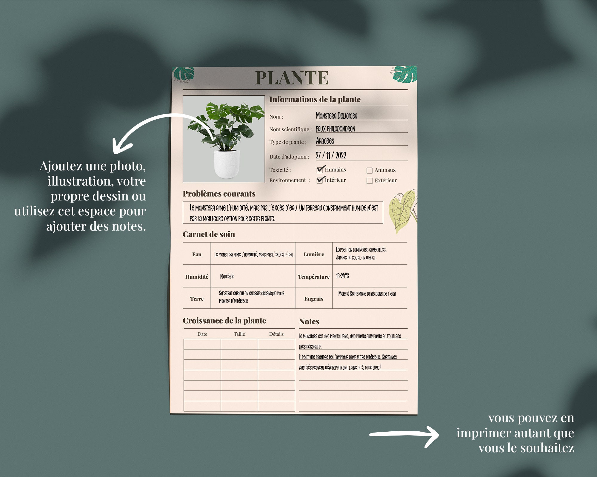 Carnet de soins pour plante en Français | 7 pages Imprimables | To Do ...
