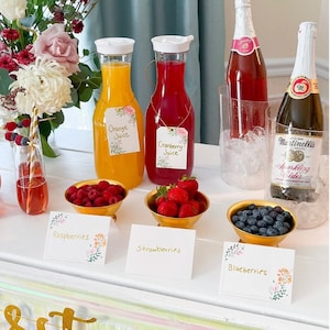 Mimosa Bar Decor Kit Package With Mimosa Bar Signage for Mimosa Serving ...