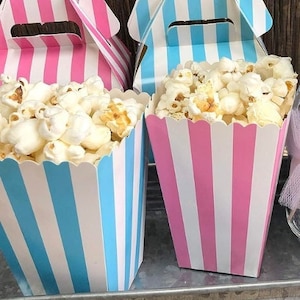 Striped Popcorn Cups for Party Wedding Favor Snacking Bridal Shower ...
