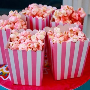 Striped Popcorn Cups for Party Wedding Favor Snacking Bridal Shower ...