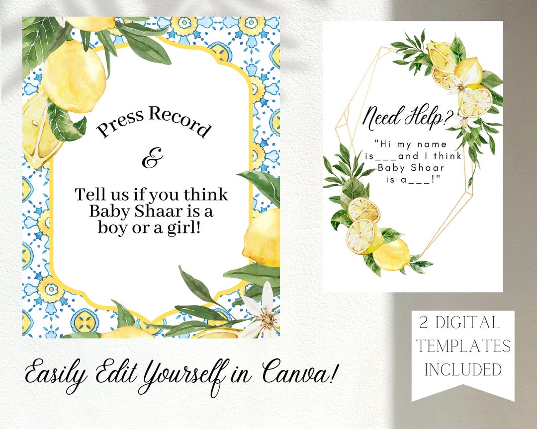 Blue Tile Gender Reveal Guessing Sign Press Record and Instruction Sign ...