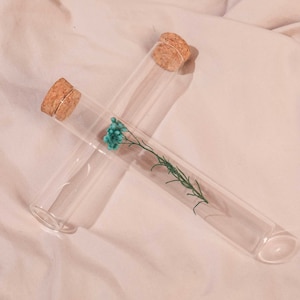 Test Tube Vial Spice Tea Favor Tubes With Cork Caps for Wedding Party ...