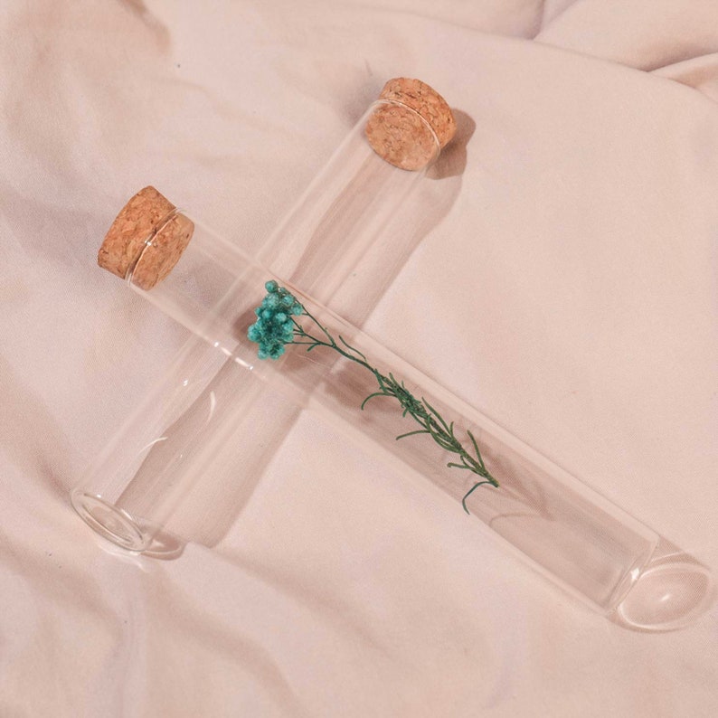 Test Tube Vial Spice Tea Favor Tubes With Cork Caps for - Etsy