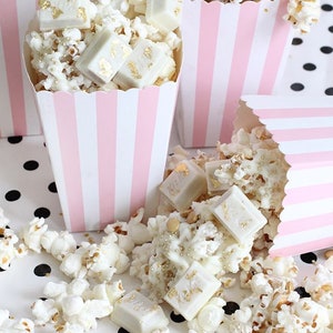 Striped Popcorn Cups for Party Wedding Favor Snacking Bridal Shower ...