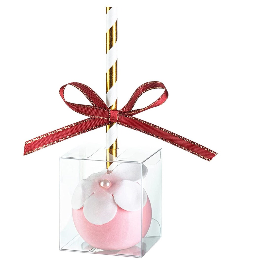 Cake Pop Clear Favor Box Packaging Set Dessert With Ribbon for Food ...