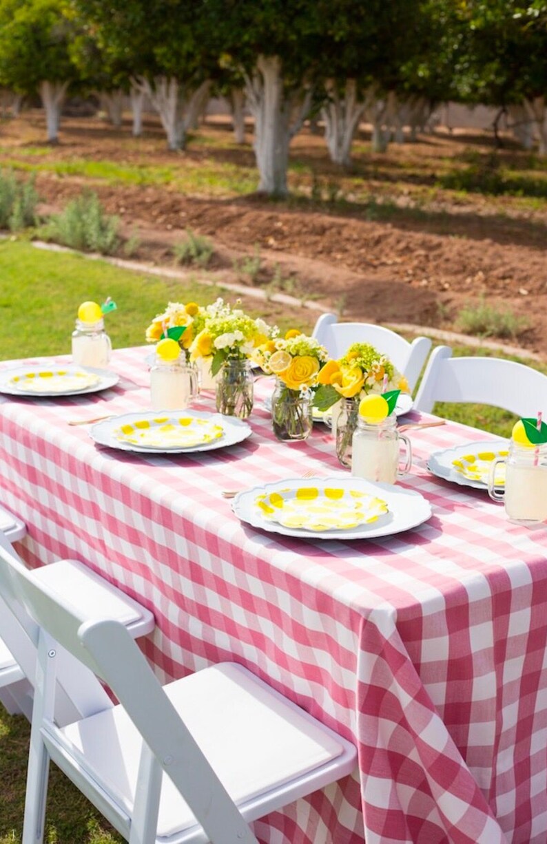 Lemon Themed Party Paper Plate Cups Napkins Cutlery Set for - Etsy