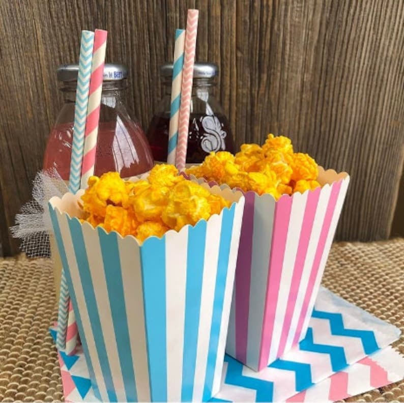 Striped Popcorn Cups for Party Wedding Favor Snacking Bridal Shower ...