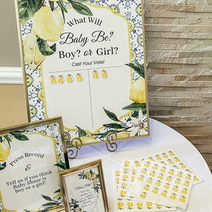 Blue Tile Gender Reveal Guessing Sign Press Record and Instruction Sign ...