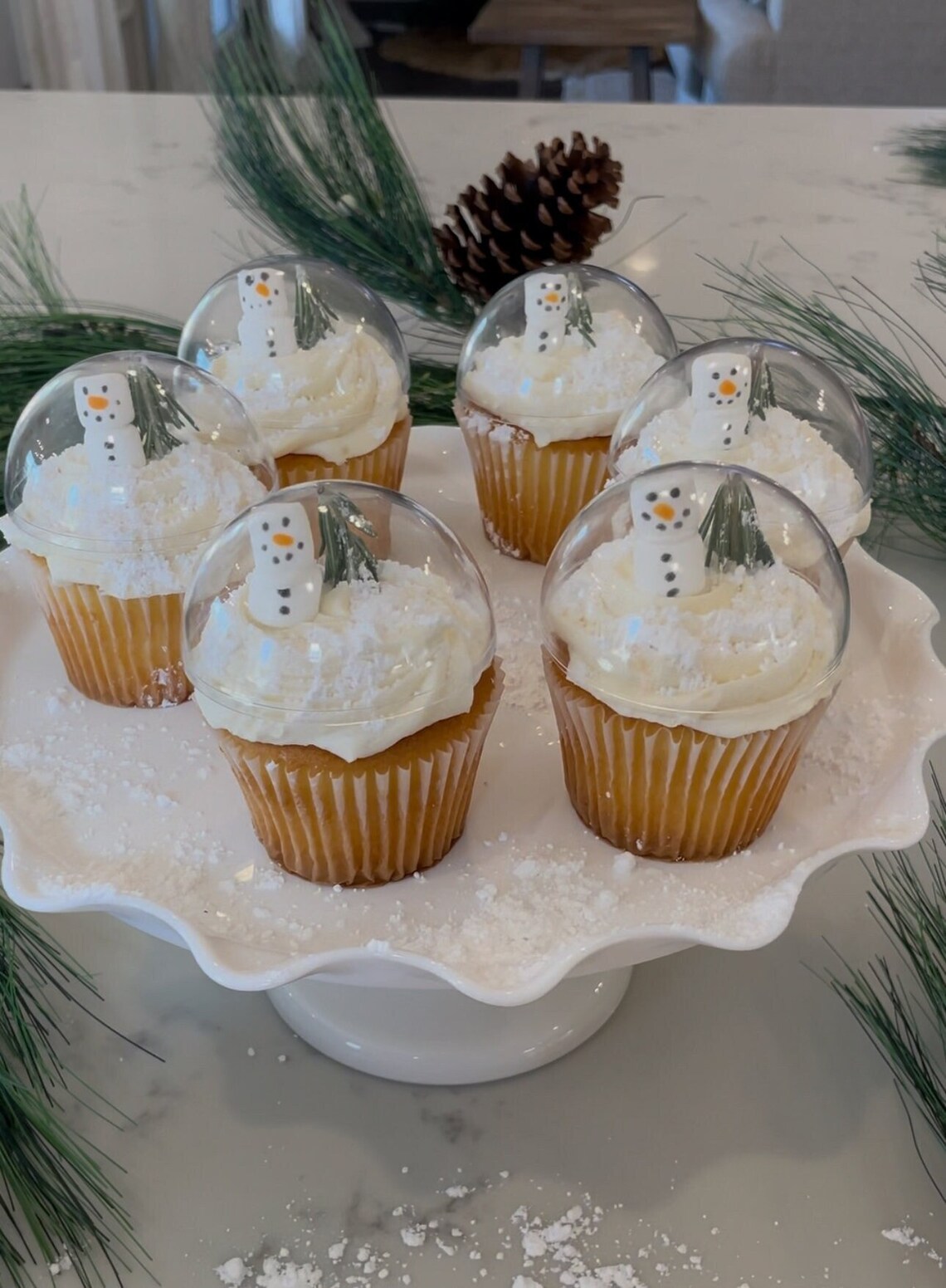 Acrylic Globe Cupcake Covers Dessert Spheres for Food Display ...