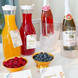 Mimosa Bar Decor Kit Package With Mimosa Bar Signage for Mimosa Serving ...