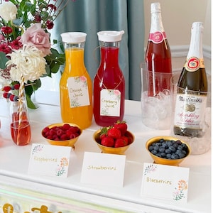 Mimosa Bar Decor Kit Package With Mimosa Bar Signage for Mimosa Serving ...