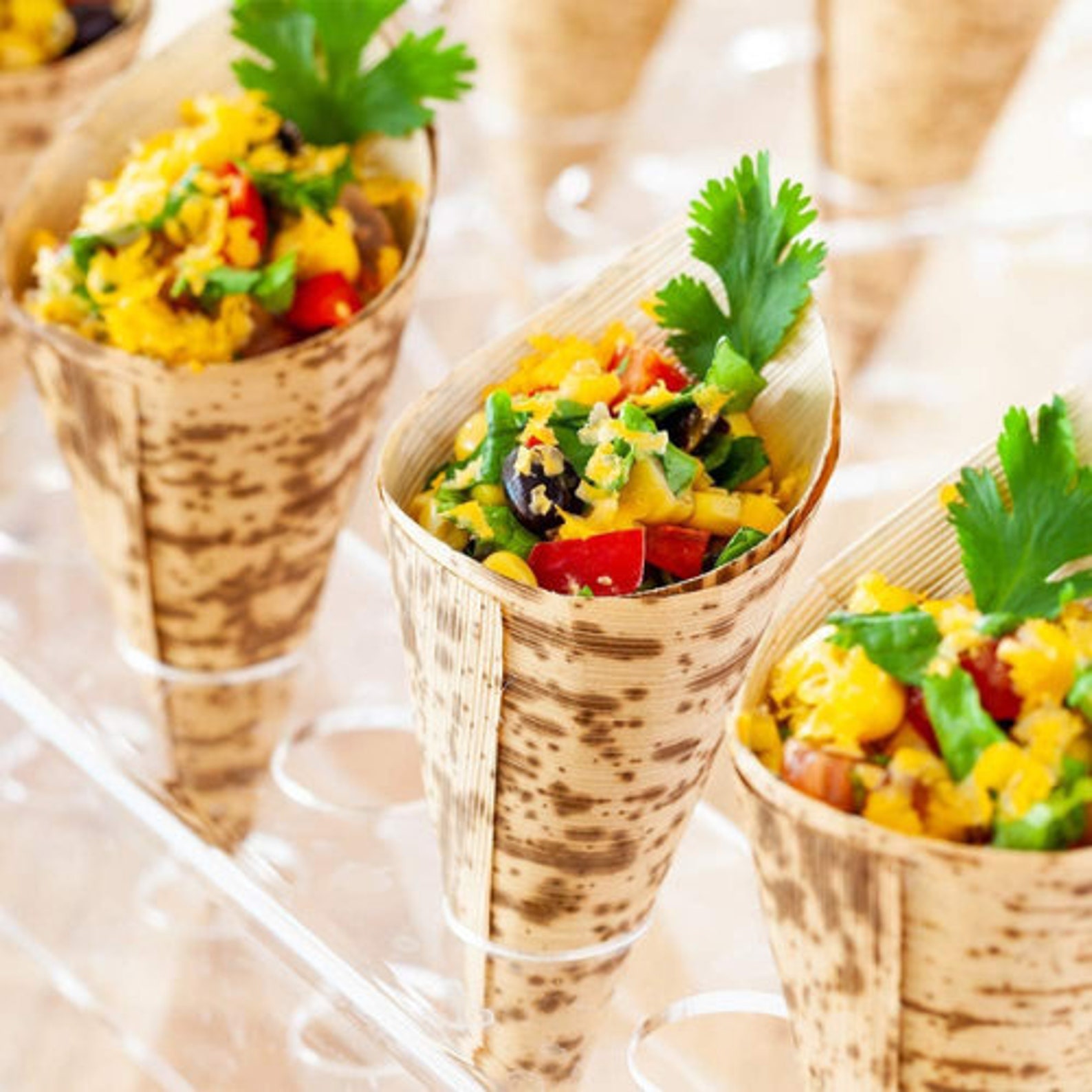 Bamboo Charcuterie Cones With Mini Forks: Appetizer Cups for Grazing ...