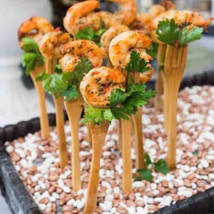Appetizer Forks: Biodegradable Catering Forks for Wedding, Party, and ...