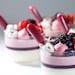 Dessert Pipettes Pipette for Strawberries Small Desserts Parfaits ...