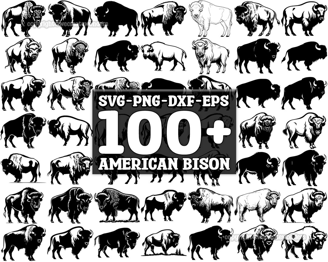 American Bison SVG Bundle, Set of 100, Instant Digital Download, Png ...