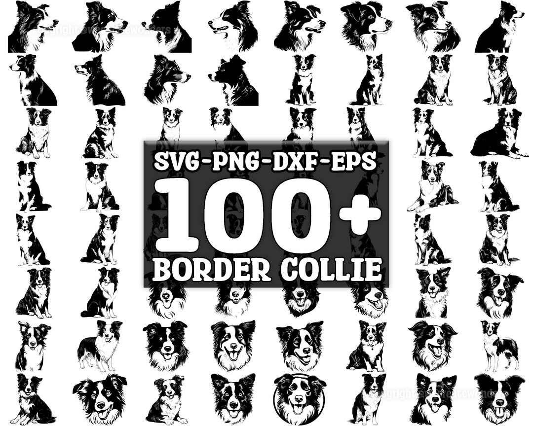 Border Collie SVG Bundle, Set of 100, Instant Digital Download, Png ...