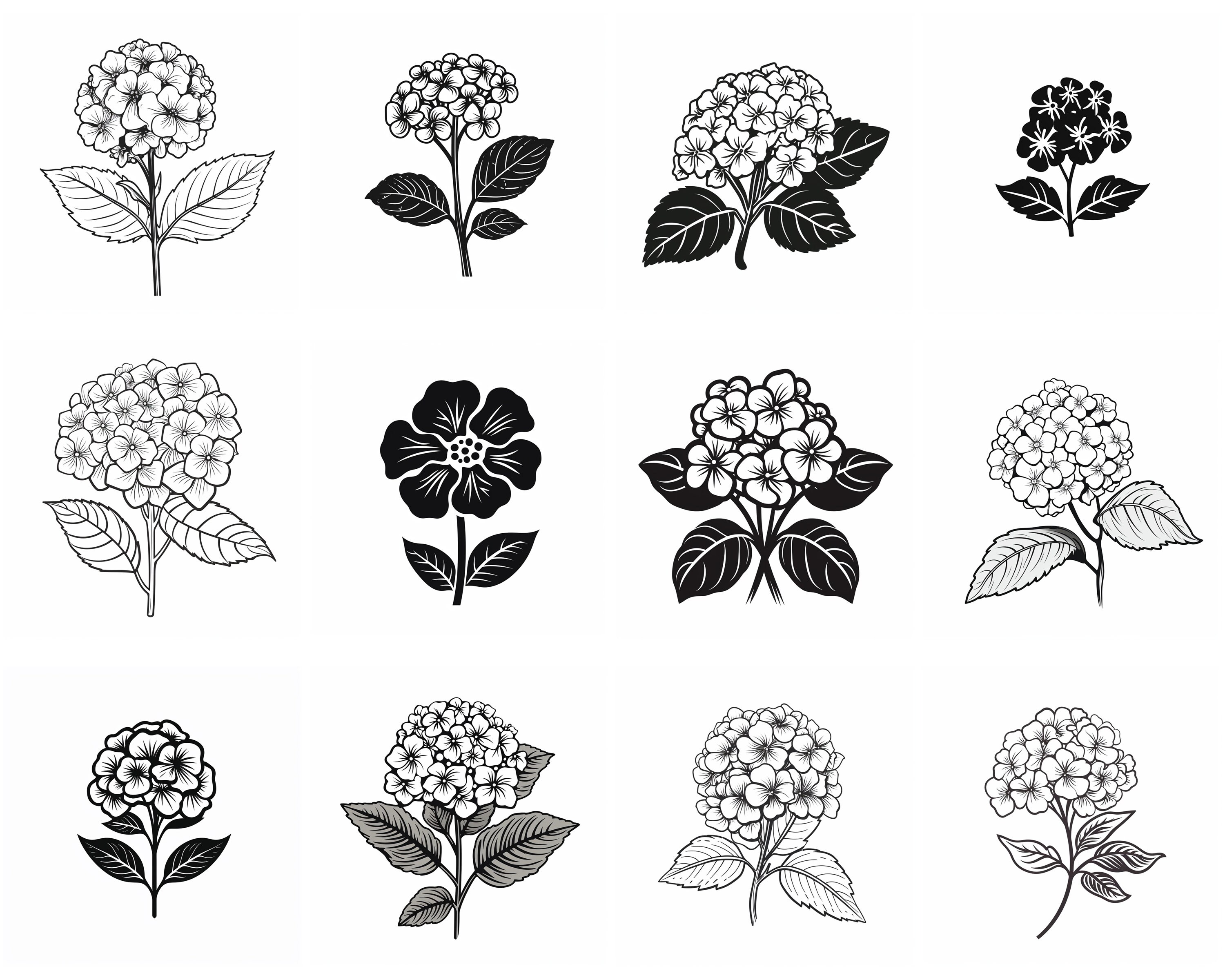 Hydrangea SVG Bundle, Set of 100, Instant Digital Download, Png, Svg ...