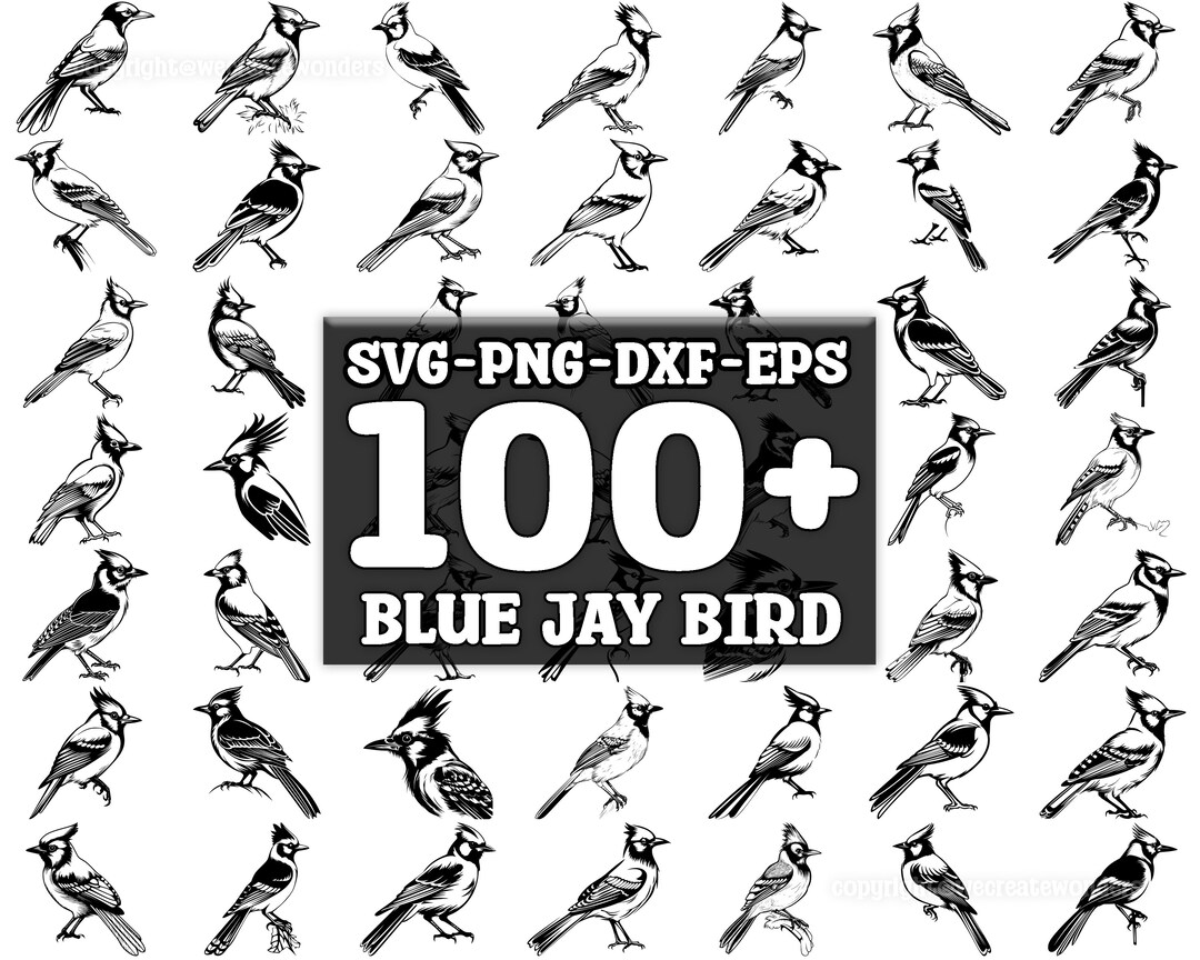 Blue Jay Bird SVG Bundle, Set of 100, Instant Digital Download, Png ...