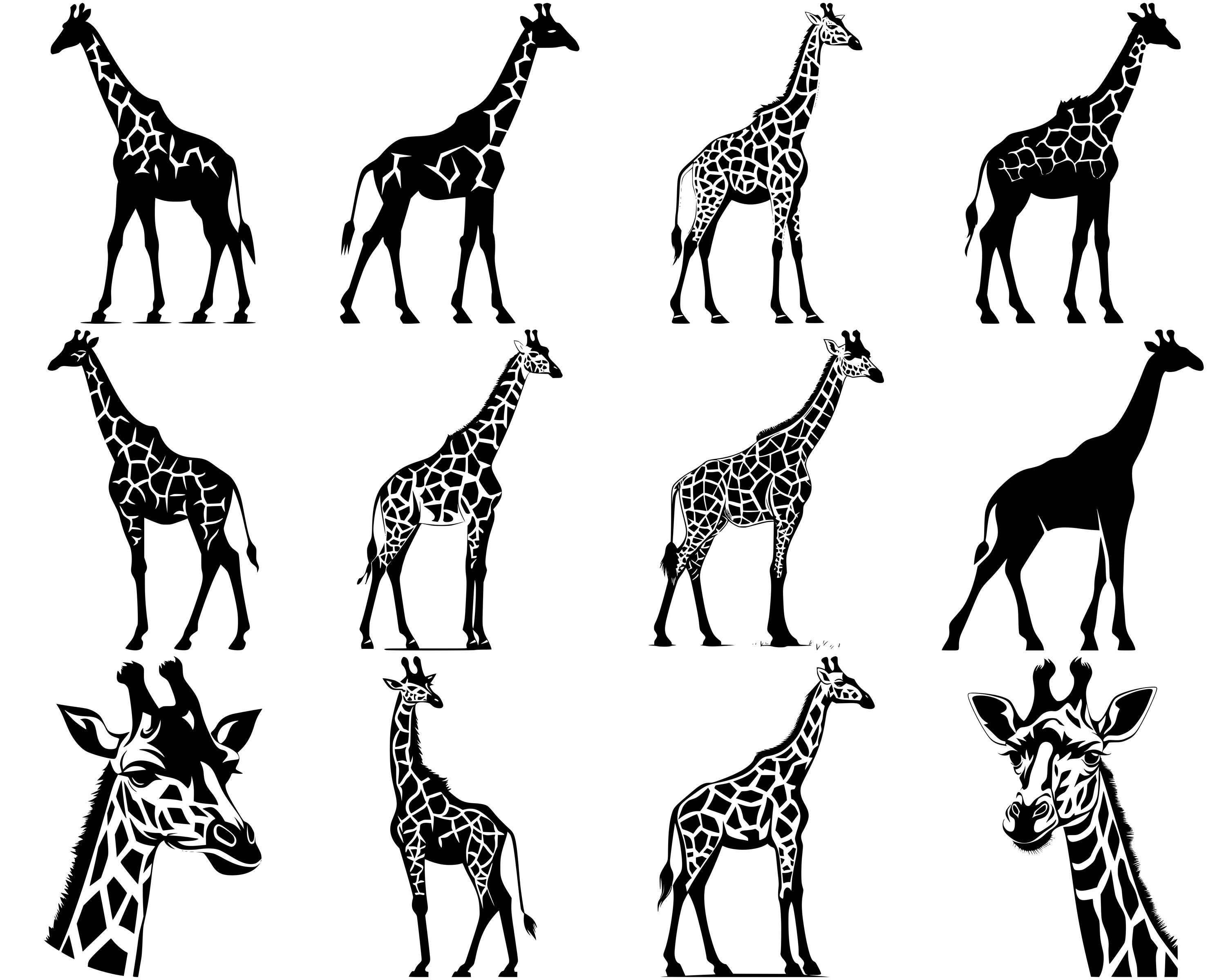 Giraffee SVG Bundle, Set of 100, Instant Digital Download, Png, Svg ...