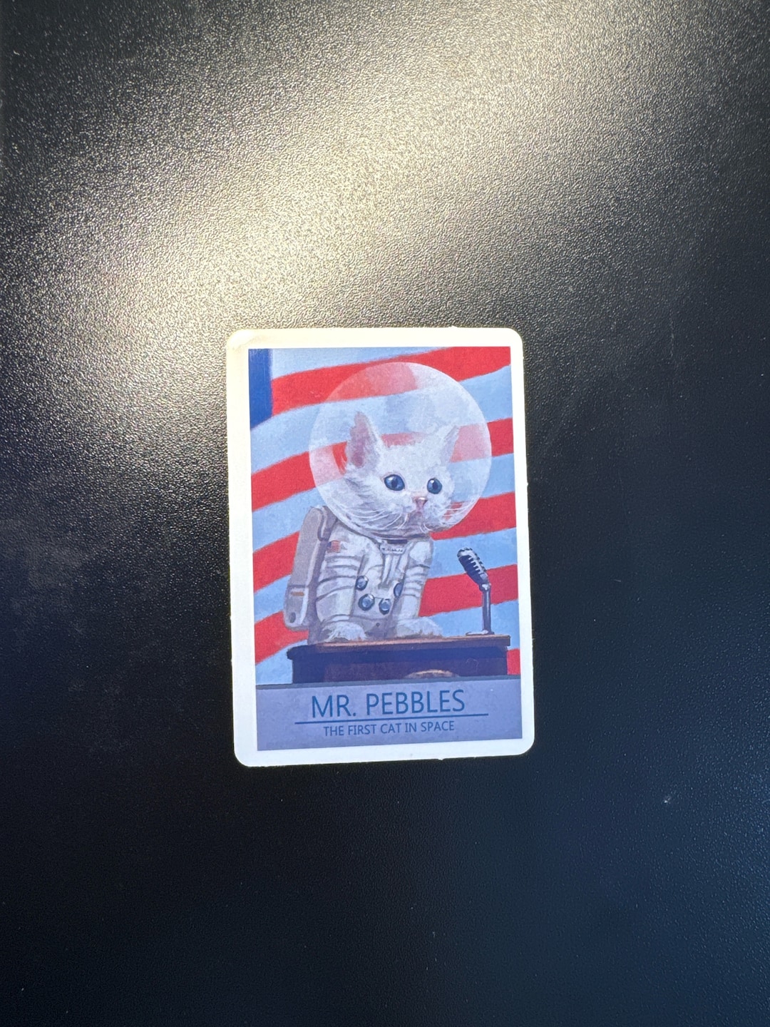 Mr Pebbles the First Cat in Space Vinyl Sticker / Fallout Vinyl Sticker ...