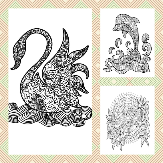 Printable Animal Coloring Pages Bundle for Boys Girls Kids - Etsy