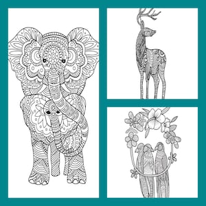 Printable Animal Coloring Pages Bundle for Boys, Girls, Kids, & Adults ...