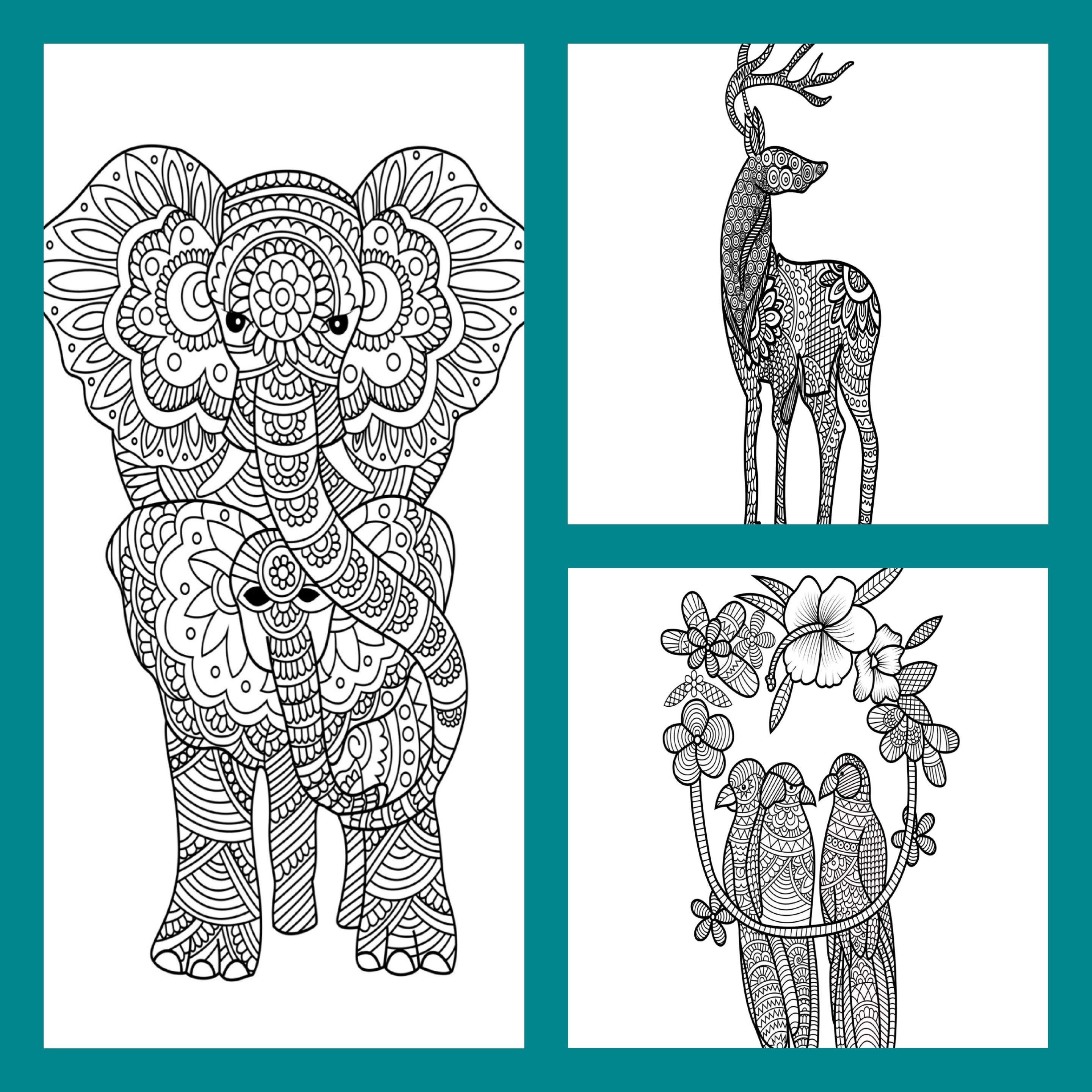 Printable Animal Coloring Pages Bundle for Boys, Girls, Kids, & Adults ...