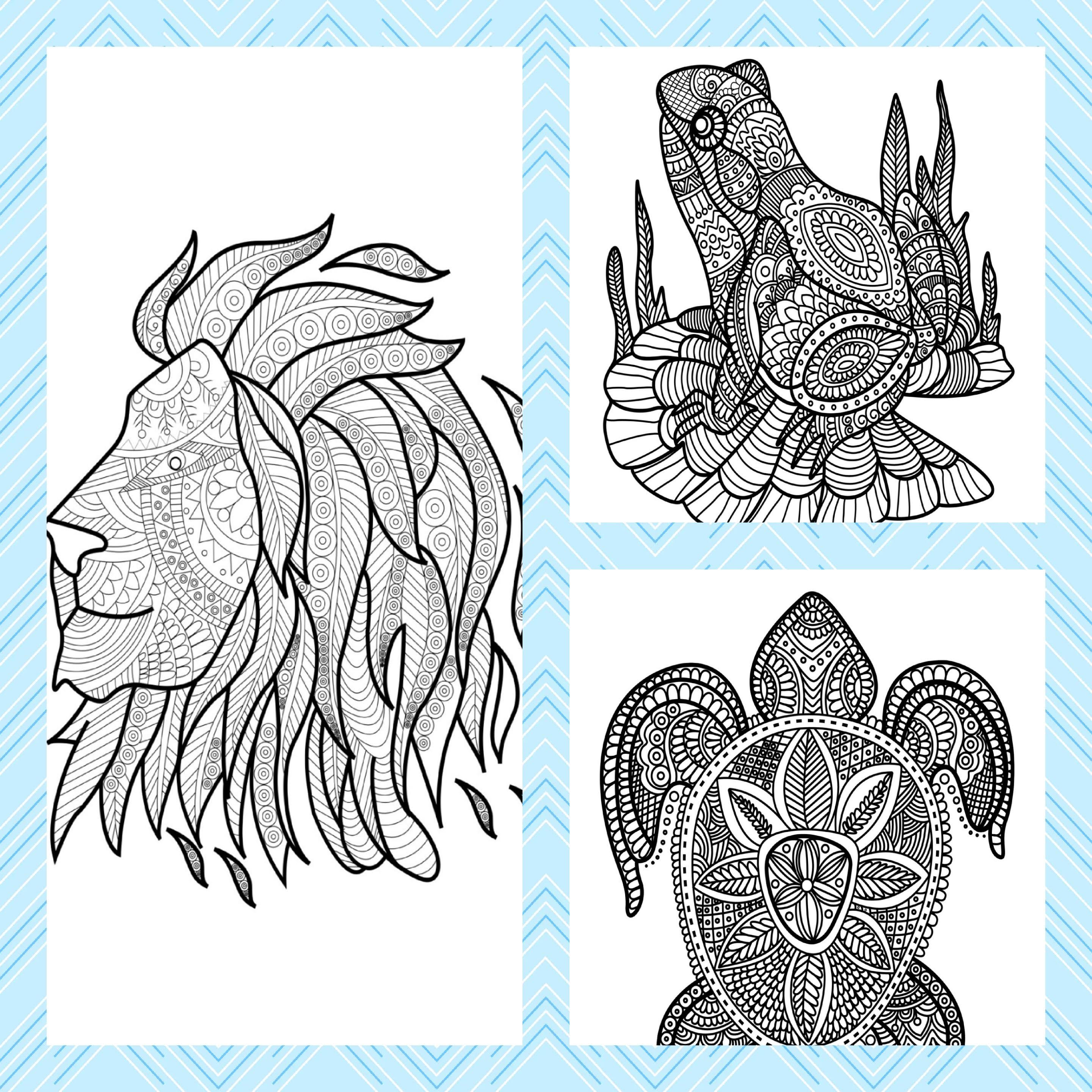 Printable Animal Coloring Pages Bundle for Boys, Girls, Kids, & Adults ...