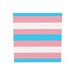 Trans Colors Note Cube, Trans Pride, Gay Gifts, LGBTQ Merch, Gay Merch ...