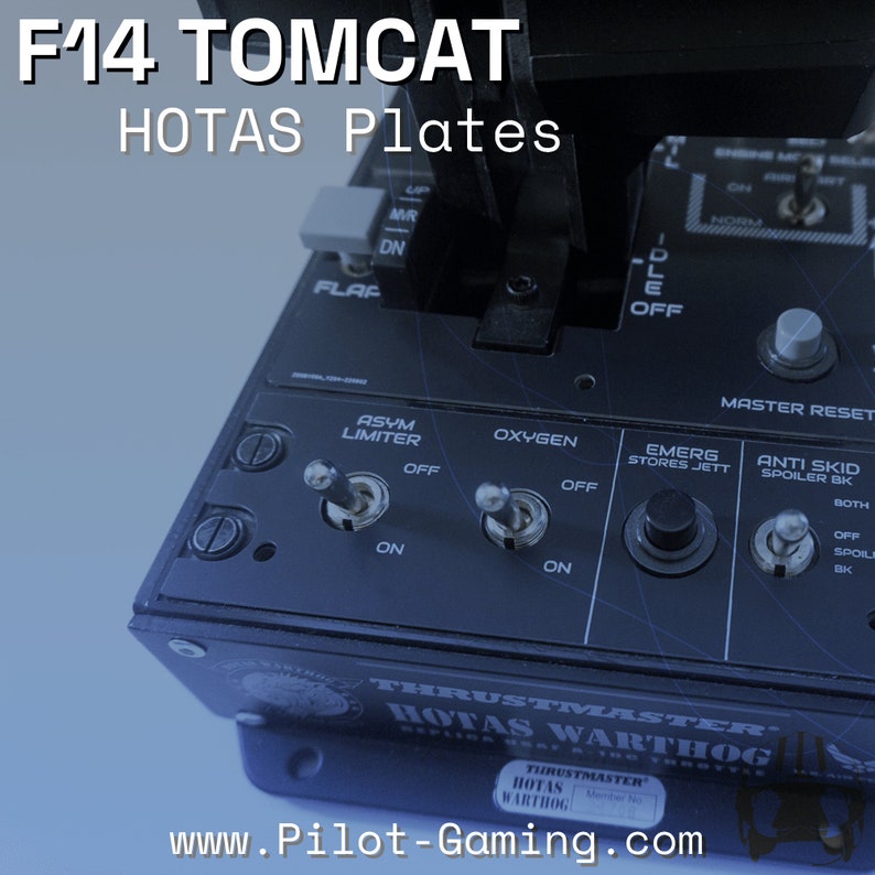 Hotas Plates for Thrustmaster Warthog - F14 TOMCAT DCS - Etsy