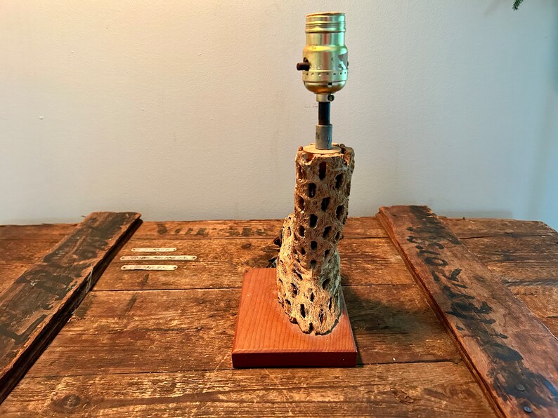 Cholla Cactus 12 Inch Table Lamp Southwest Decor Western Mid Century - Etsy
