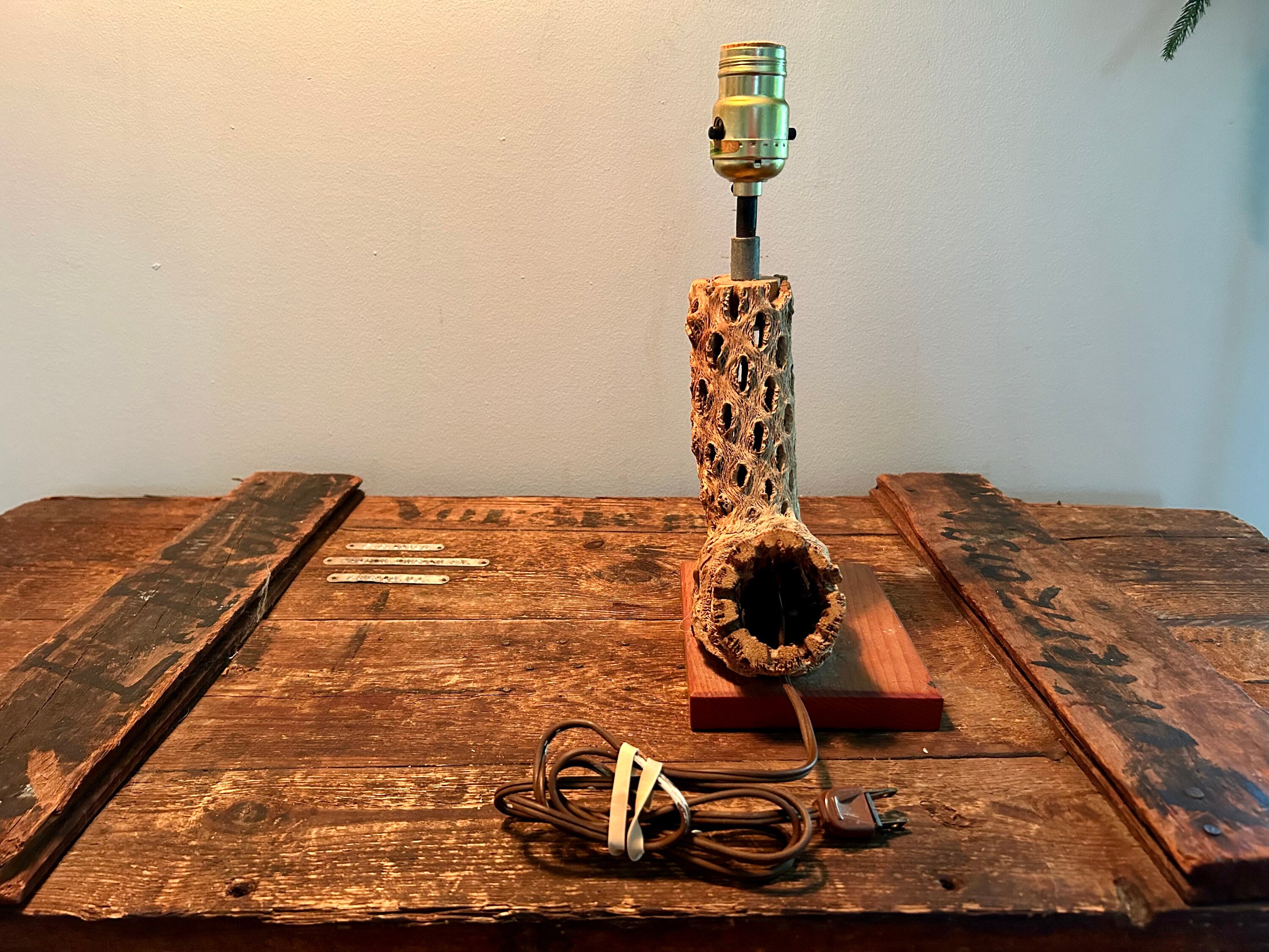 Cholla Cactus 12 Inch Table Lamp Southwest Decor Western Mid Century - Etsy