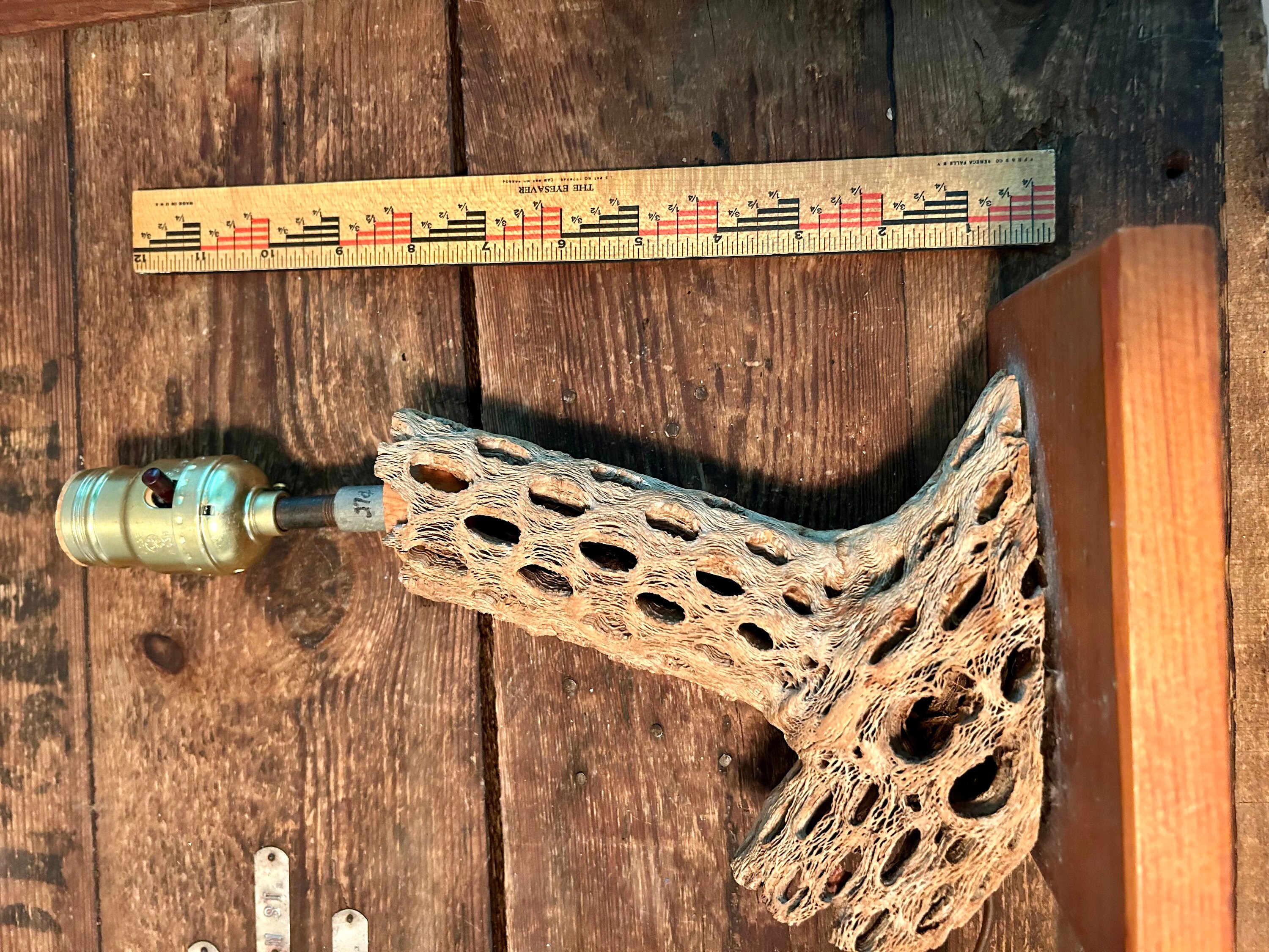 Cholla Cactus 12 Inch Table Lamp Southwest Decor Western Mid Century - Etsy