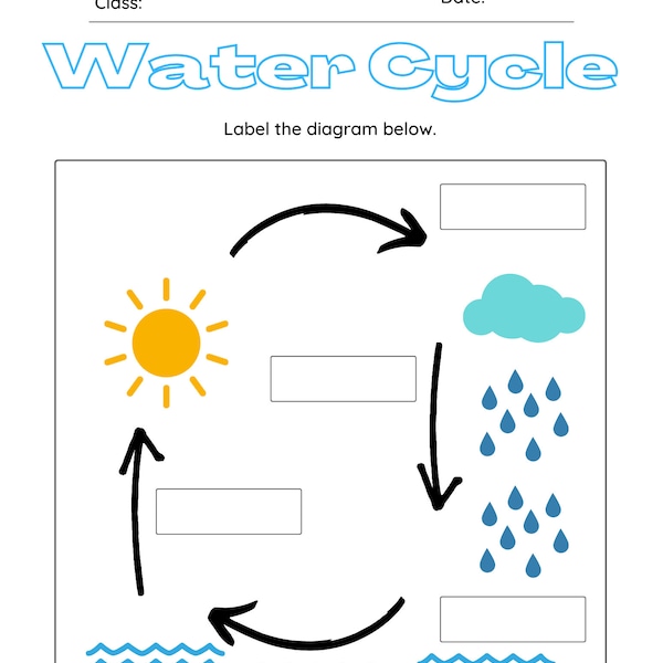 Water Cycle Worksheet - Etsy