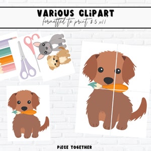 Art Display Dog Back to School Bulletin Board Kit | Easy and Modern ...