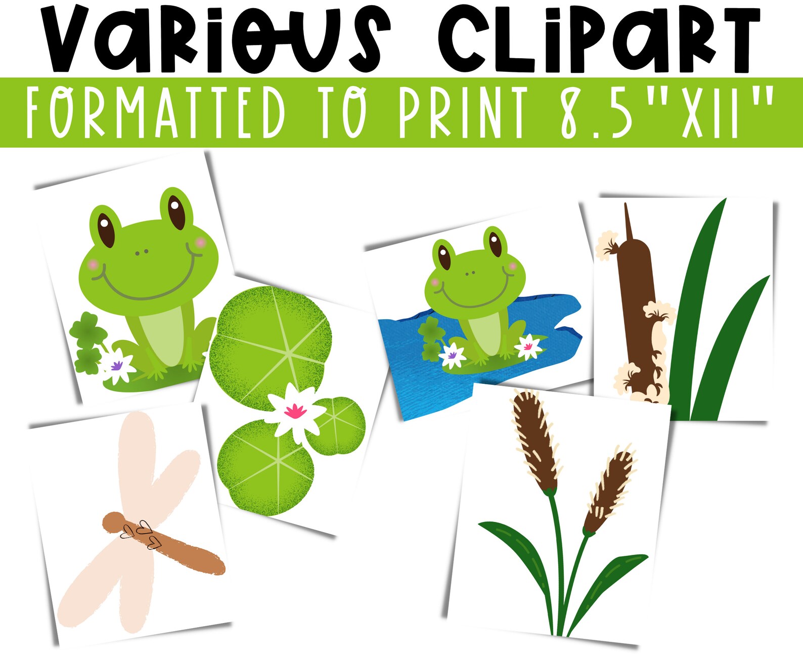 Spring Frog Bulletin Kit. Hopping Into Spring Editable. Bloom - Etsy