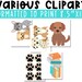 Library Book Dog Back to School Bulletin Board Kit | Easy and Modern ...
