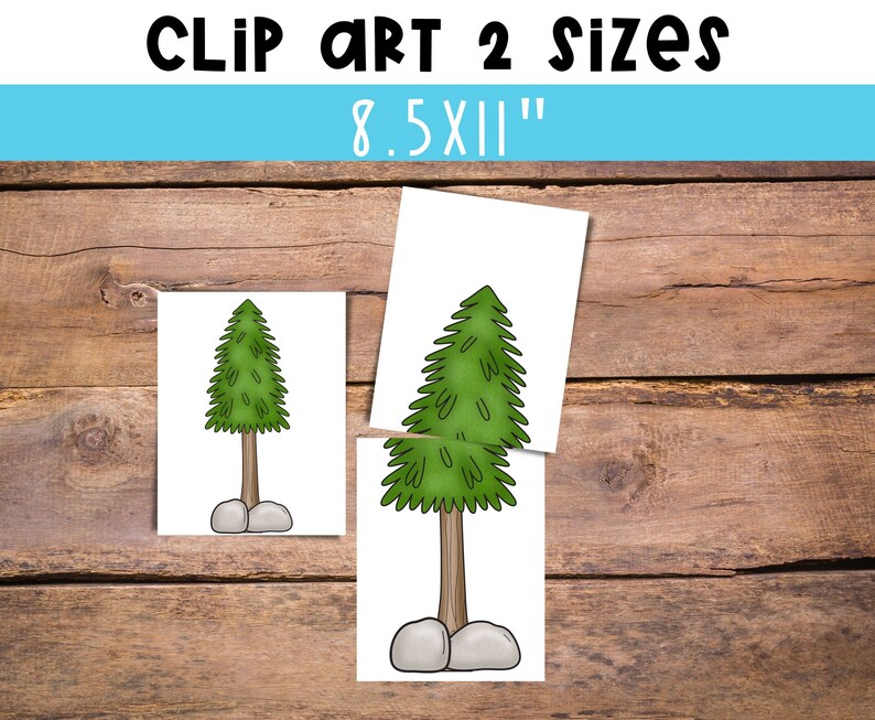 Camp Theme Bulletin Board Kit Happy Campers Teacher - Etsy